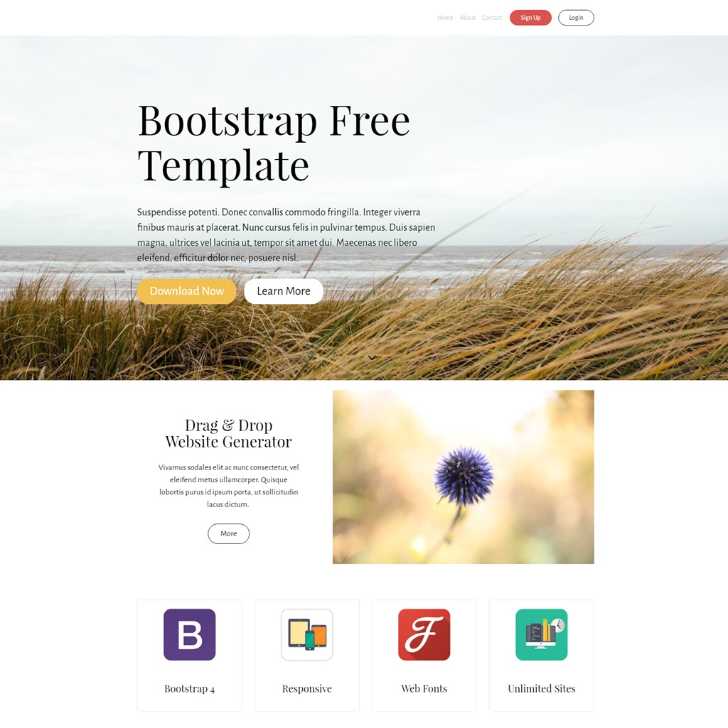 95+ Free Bootstrap Themes Expected to Get in the Top